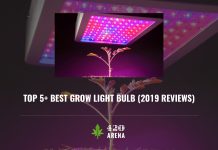Best Marijuana Grow Boxes and Cabinets of 2020 (Reviews) - [February ...